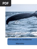 Classificação e Características do Ambiente Bentônico | PDF | Biologia ...
