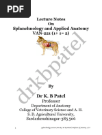 PiG Anatomy | PDF