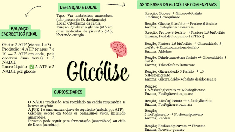 Glicólise: Processo e Fases Metabólicas | PDF | Glicolise | Química dos ...