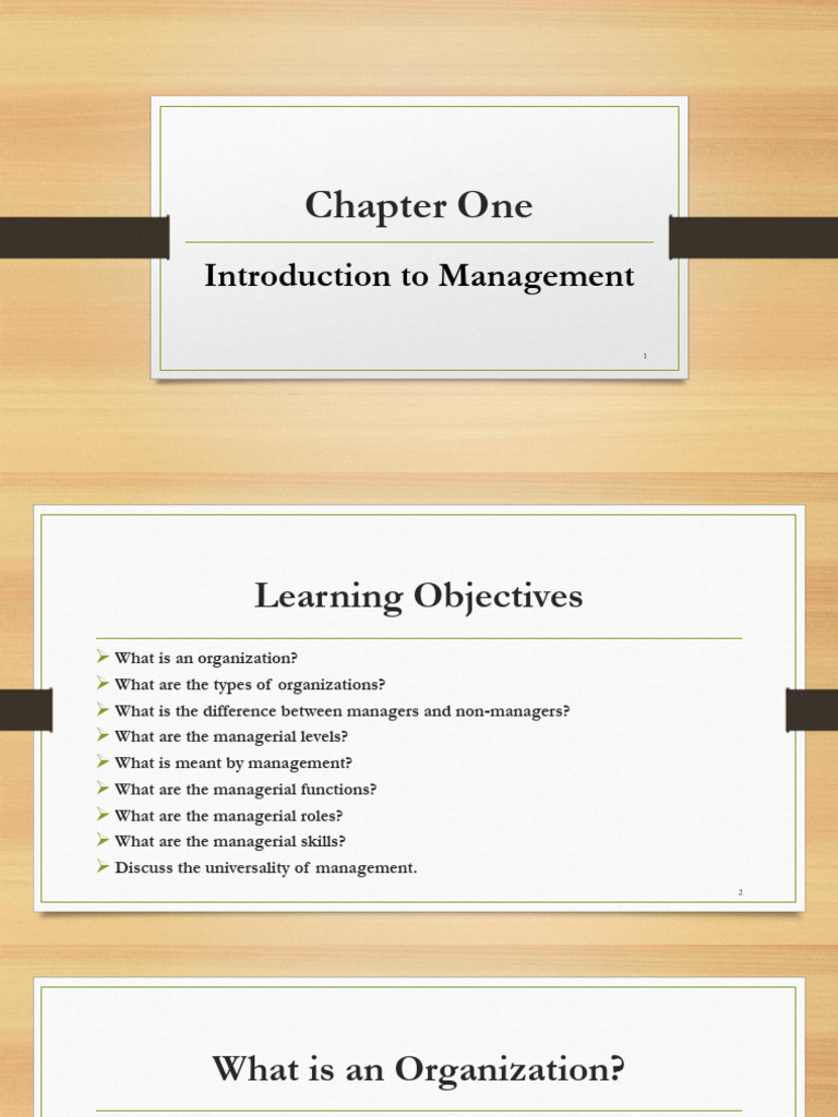 Chapter 1 Introduction To Management | PDF | Skill | Social Psychology