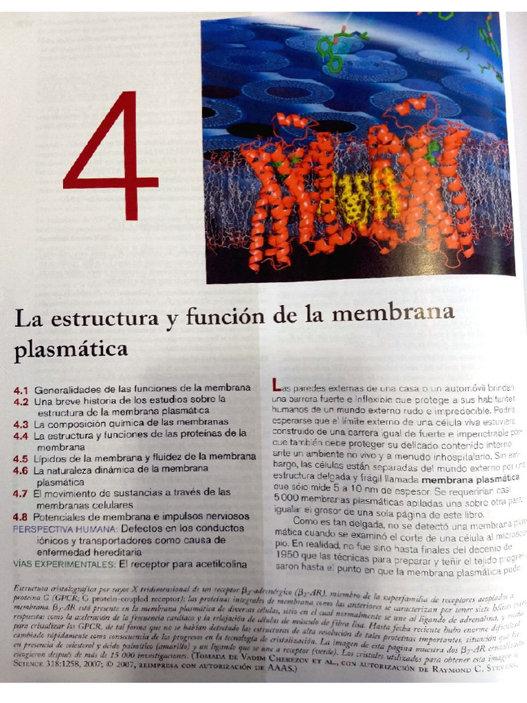 2 6 Karp - Membrana | PDF