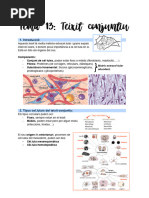 CAFE ANATOMIA Tema 03 Teixit Connectiu (I) | PDF