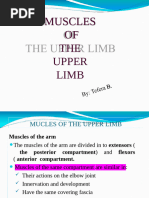 Thenar and Hypothenar Muscle Anatomy | PDF | Thumb | Hand