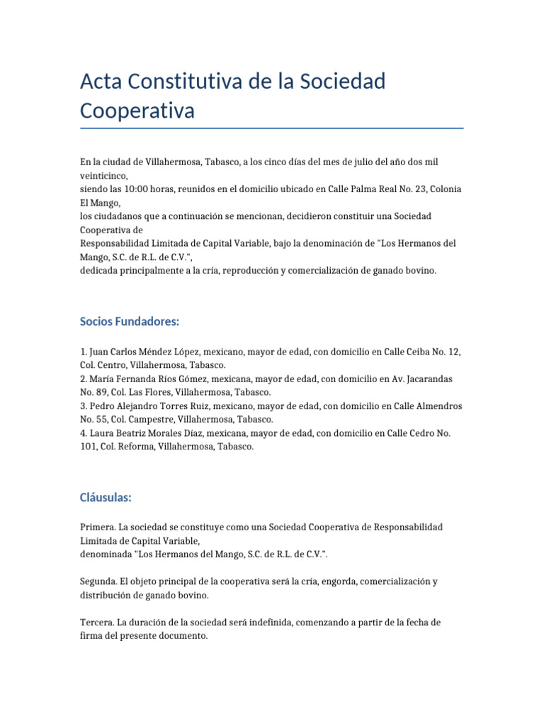 Acta Constitutiva Los Hermanos Del Mango | PDF