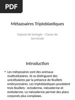 Définition et classification des métazoaires | PDF | Anatomie | Biologie