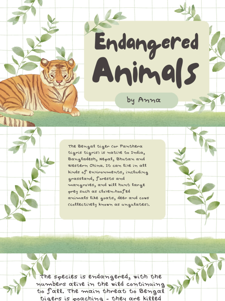 Endangered Animals | PDF
