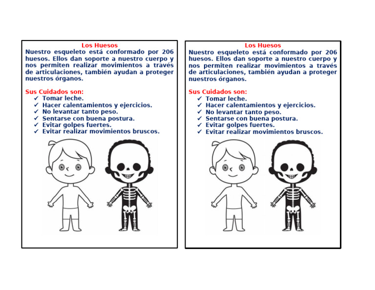 HUESOS | PDF