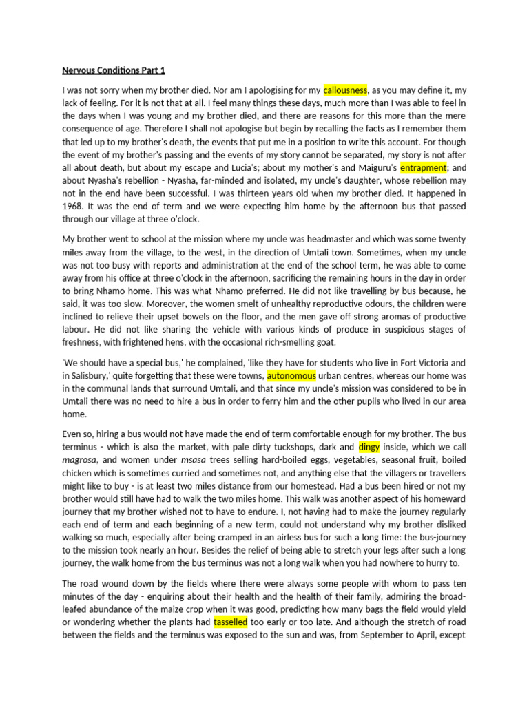 Explicit, Implicit, Writers Effect Questions On Nervous Conditions Part ...