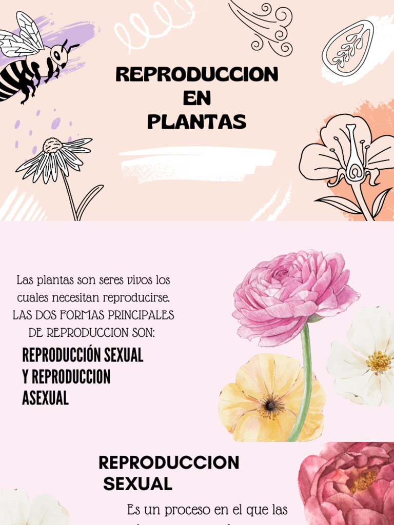 Reproduccion en Plantas | PDF