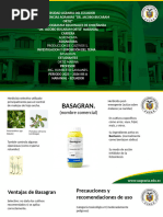 Ficha Técnica - Basagran® 480 | PDF | Botánica | Plantas