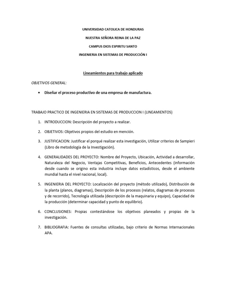 Lineamientos de Trabajo de Ing Sist Prod I 224 | PDF