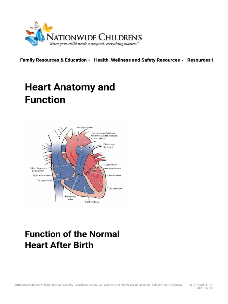 Heart Anatomy and Function | PDF | Atrium (Heart) | Ventricle (Heart)