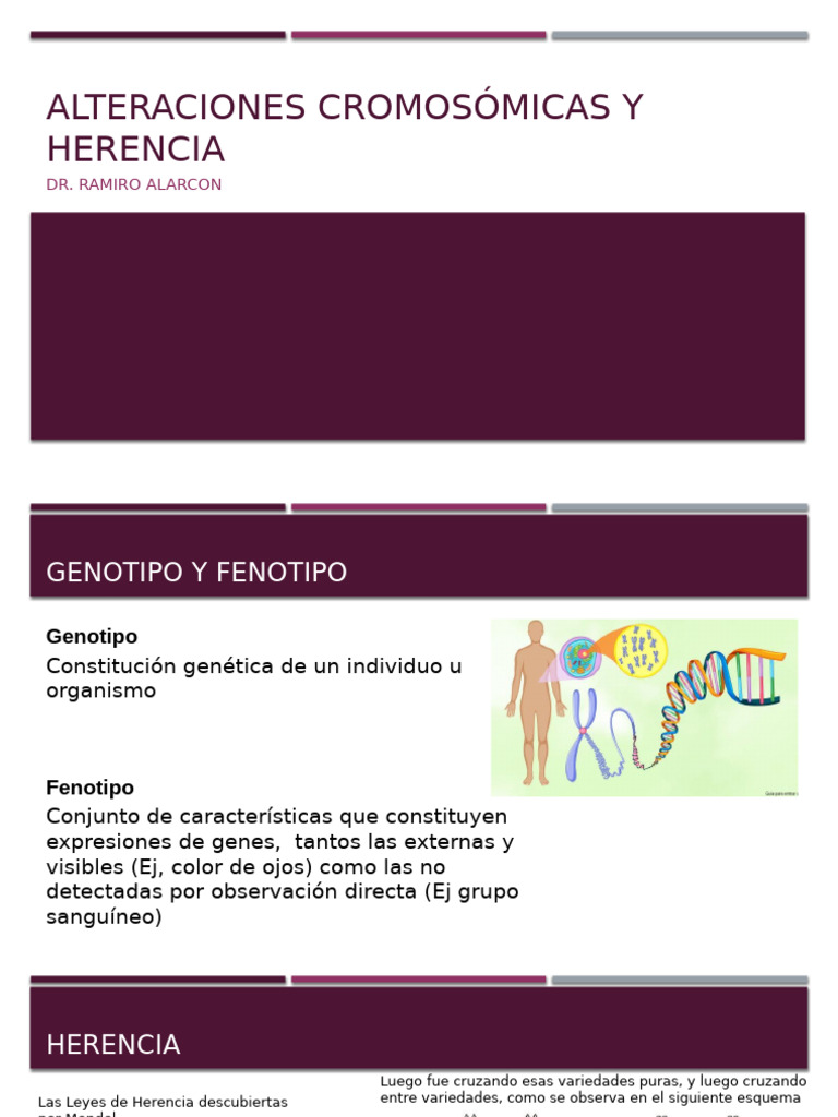 Herencia y Alteraciones Cromosomicas | PDF | Dominancia (Genética) | Alelo