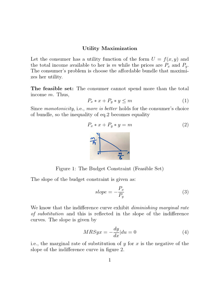 Utility Maximization | PDF | Consumer Behaviour | Economic Theories