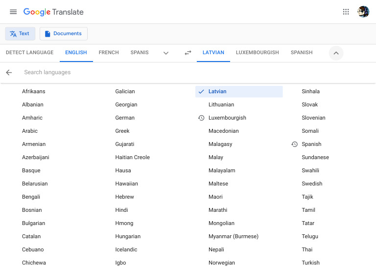 Google Translate | PDF