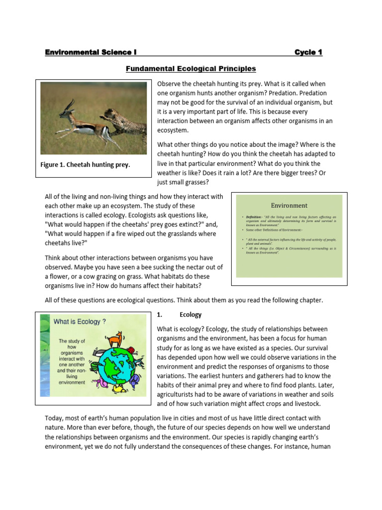 Understanding Ecology and Ecosystems | PDF | Ecology | Earth