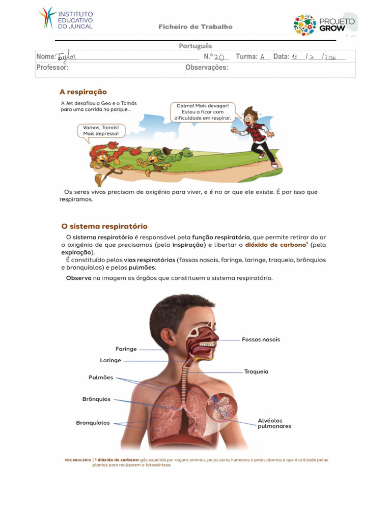 EM Sistema Respiratório Colar Exerc | PDF