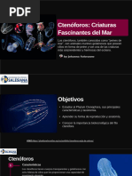 Ctenóforos | PDF | Anatomía | Zoología