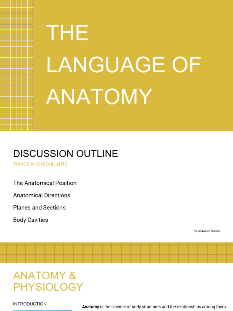 Anatomy Terminology Overview | PDF | Anatomical Terms Of Location ...
