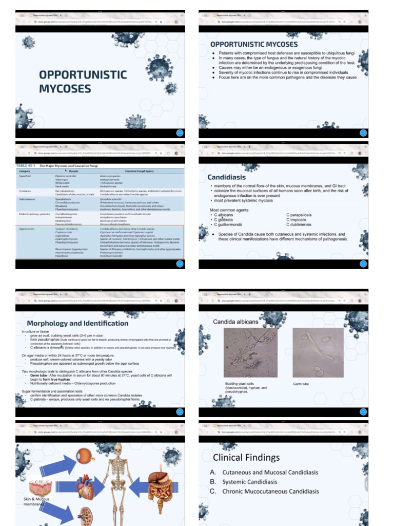 Opportunistic Mycoses Virology | PDF