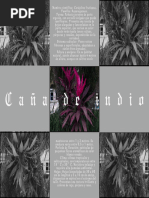 Ficha Tipos de Calles y Sus Características | PDF
