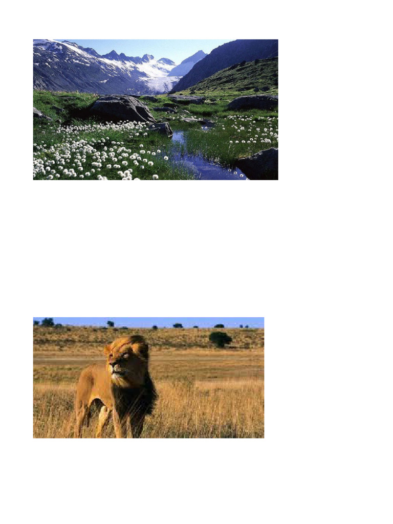 Ambientes Naturales | PDF