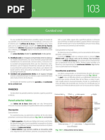 Anatomía y Función de la Región Labial | PDF | Labio | Anatomía humana