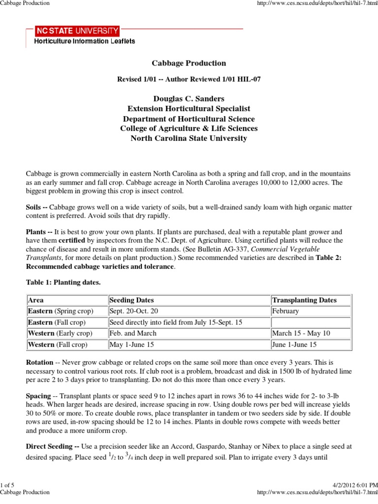 Cabbage Production | PDF | Cabbage | Weed