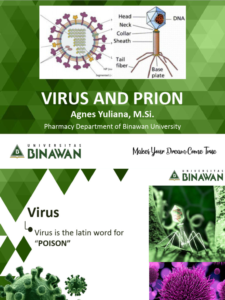Mikrobiologi Pertemuan 4 - Virus Dan Prion | PDF | Virus | Cancer