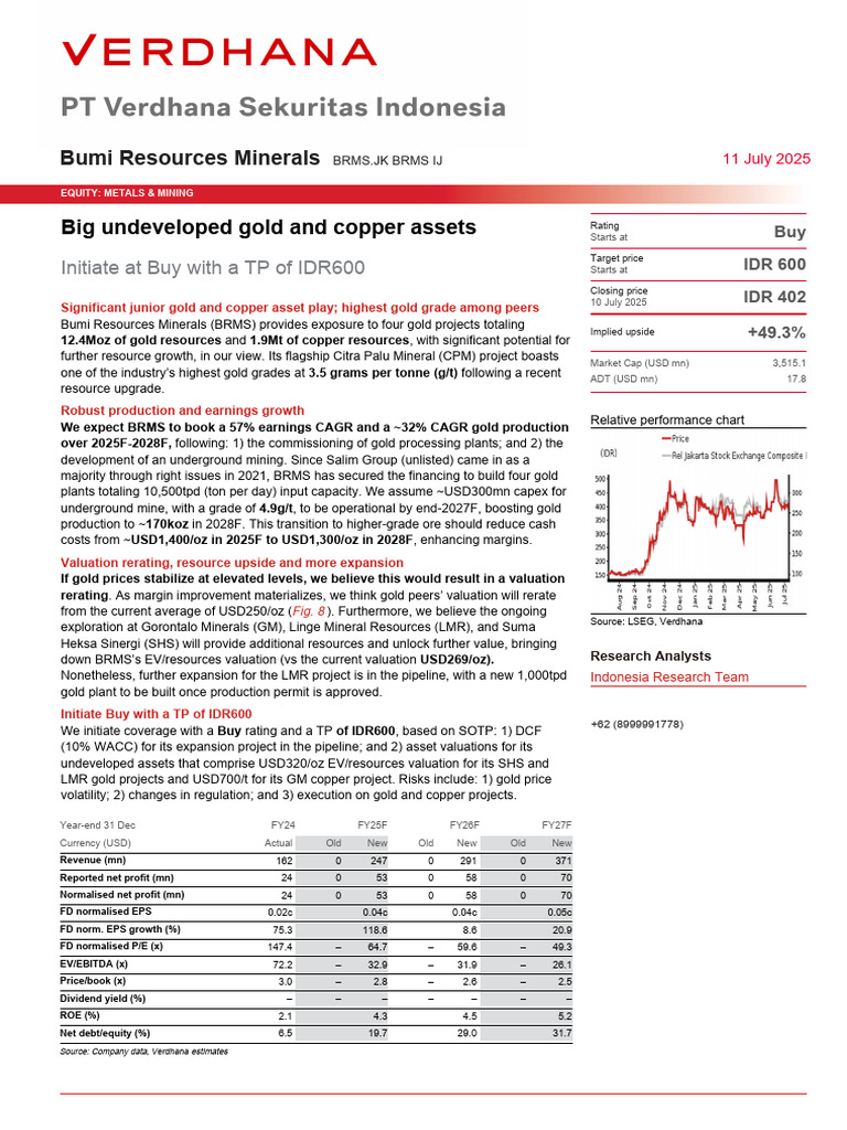 Bumi Resources Minerals: 2025 Outlook | PDF | Valuation (Finance ...