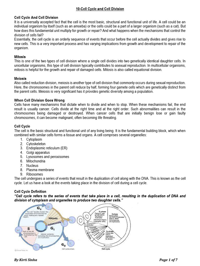 10-Cell Cycle and Cell Division-Notes | PDF | Meiosis | Mitosis