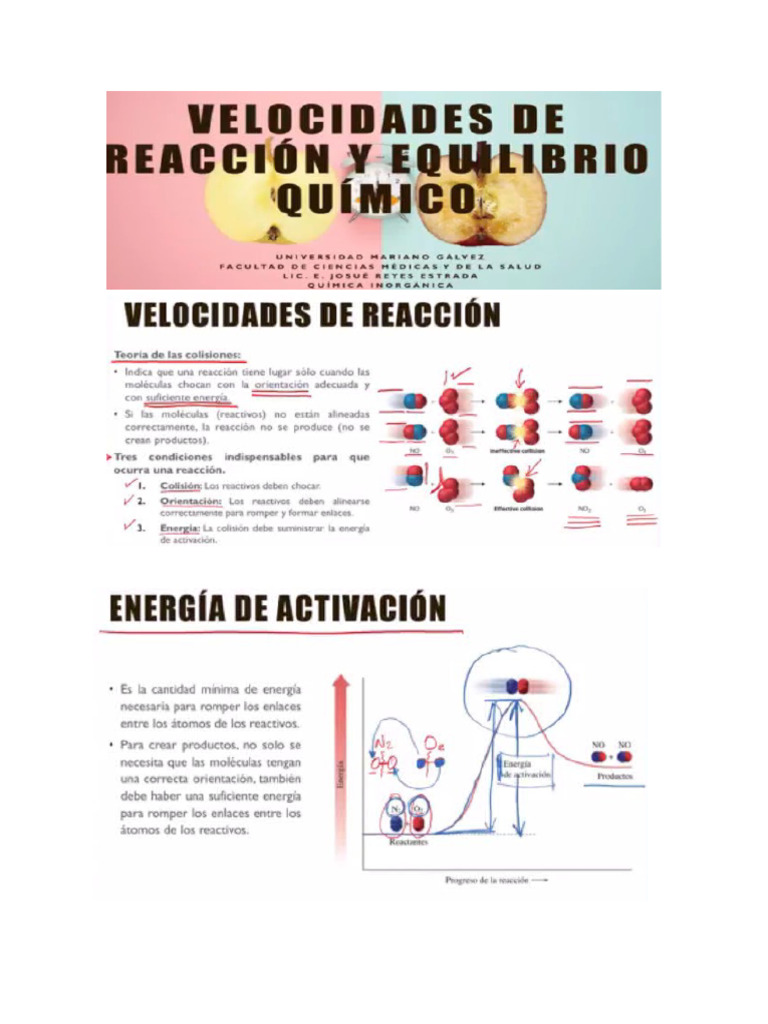 Velocidades de Reacción | PDF