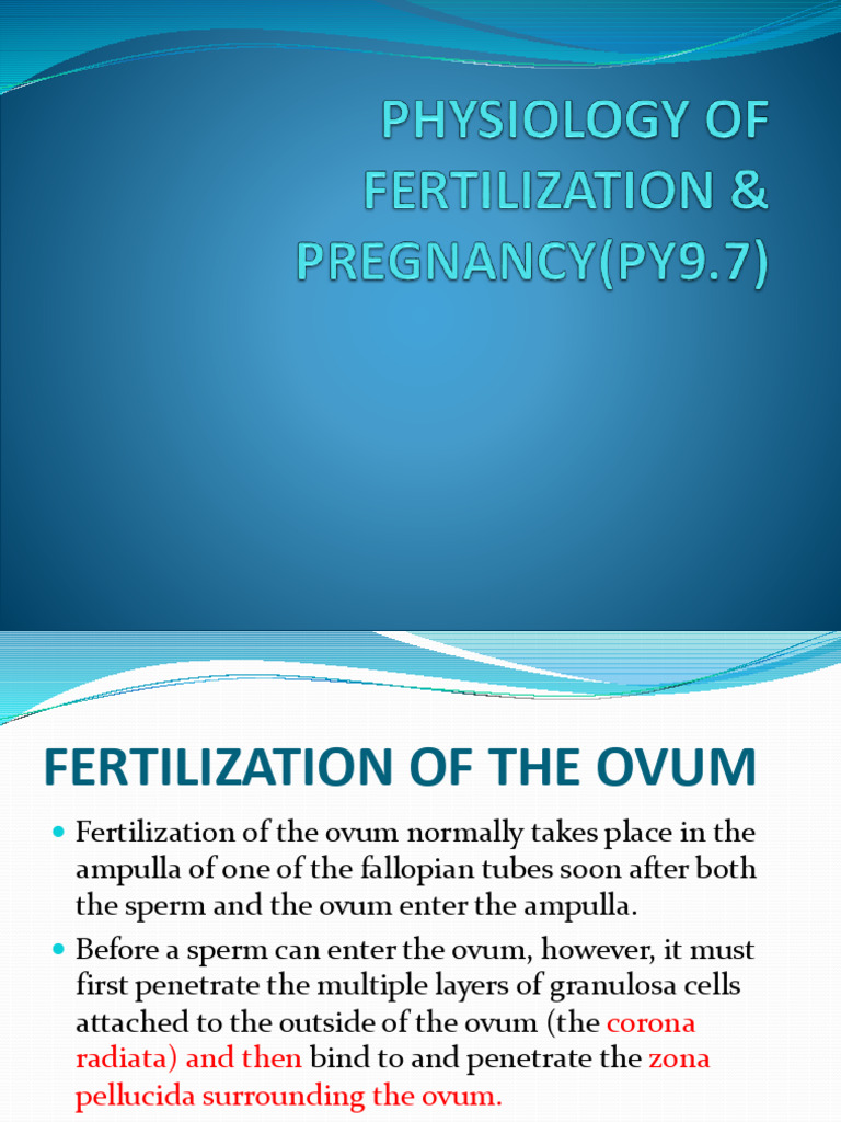 Ovum Fertilization and Implantation Process | PDF | Menstrual Cycle ...