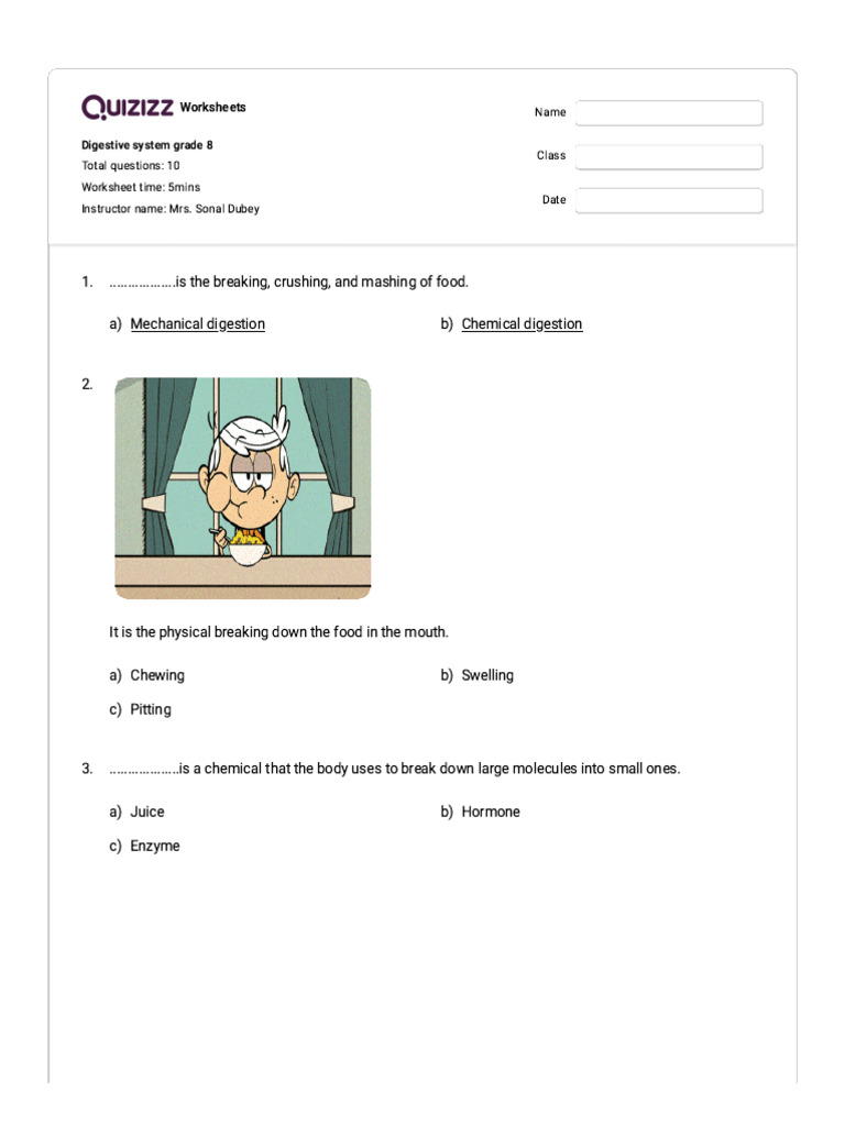 Grade 8 Digestive System Worksheet | PDF