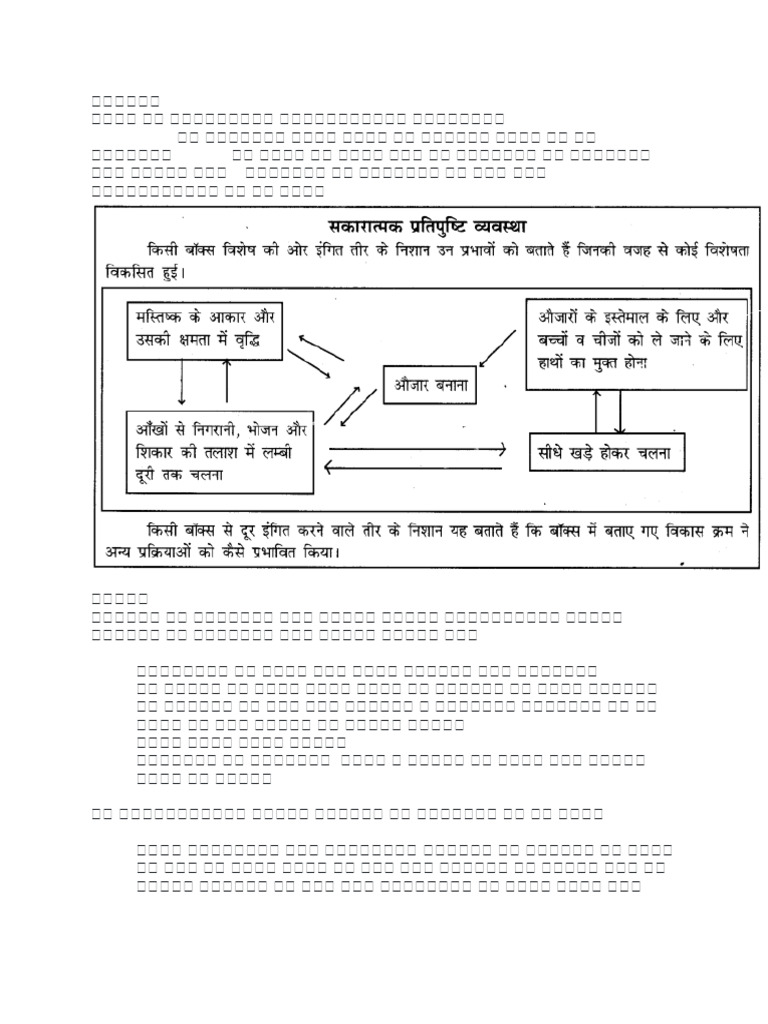 Class 11 History Chapter 1 | PDF