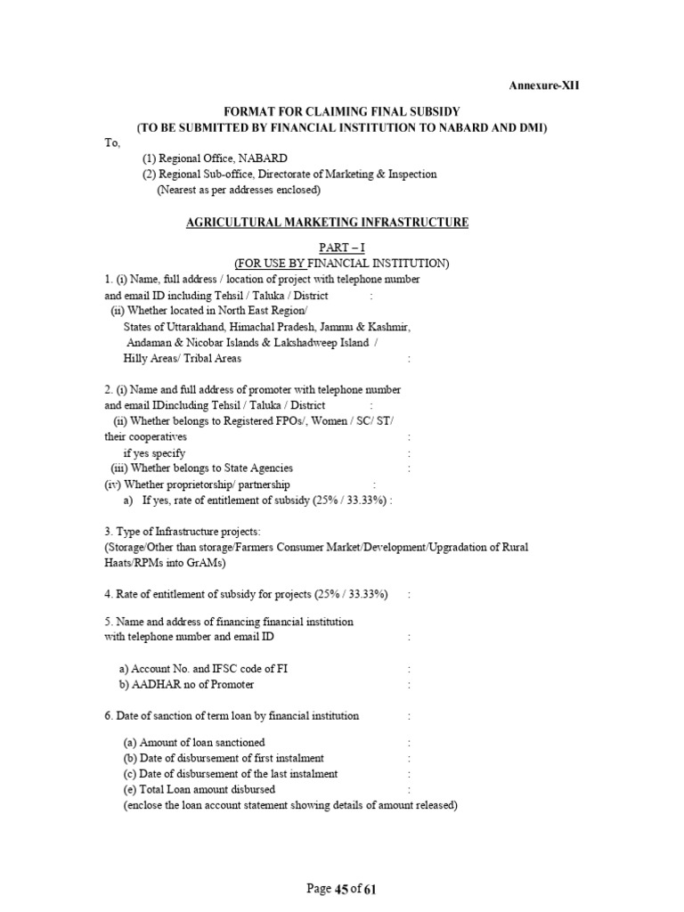 Infrastructure Project Subsidy Application | PDF | Subsidy | Economies