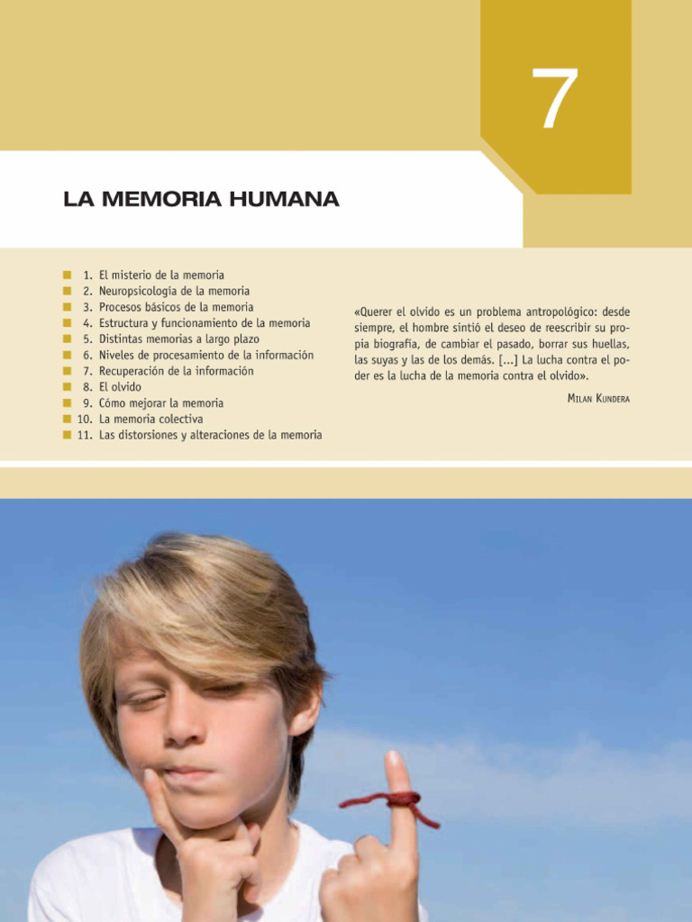 La Memoria Humana y Su Funcionamiento (Cap 7 Libro de Texto) | PDF