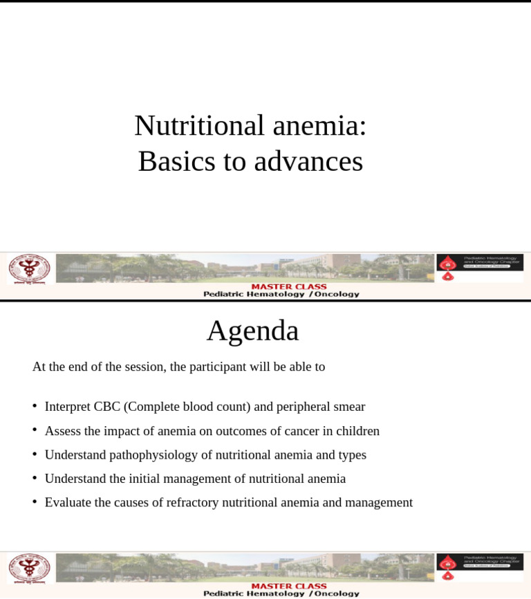 Nutritional Anemia Agenda | PDF