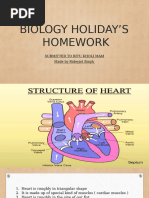 Structure of Human Heart | PDF