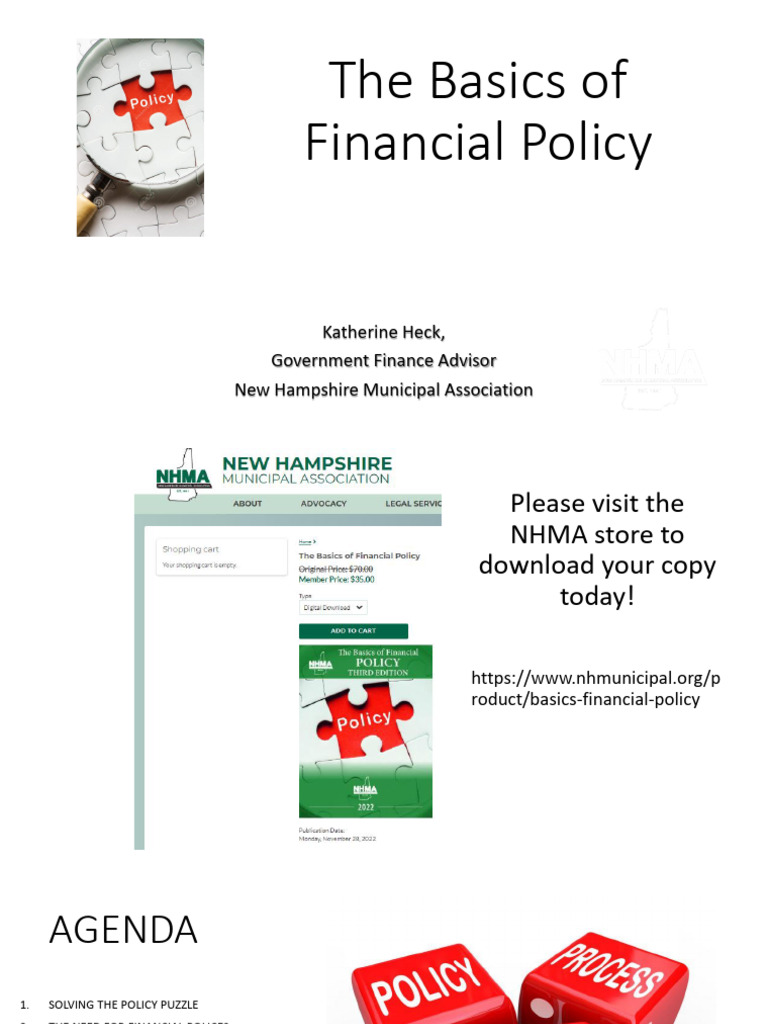 Fin Polices Overview No Color Print | PDF | Internal Control | Budget