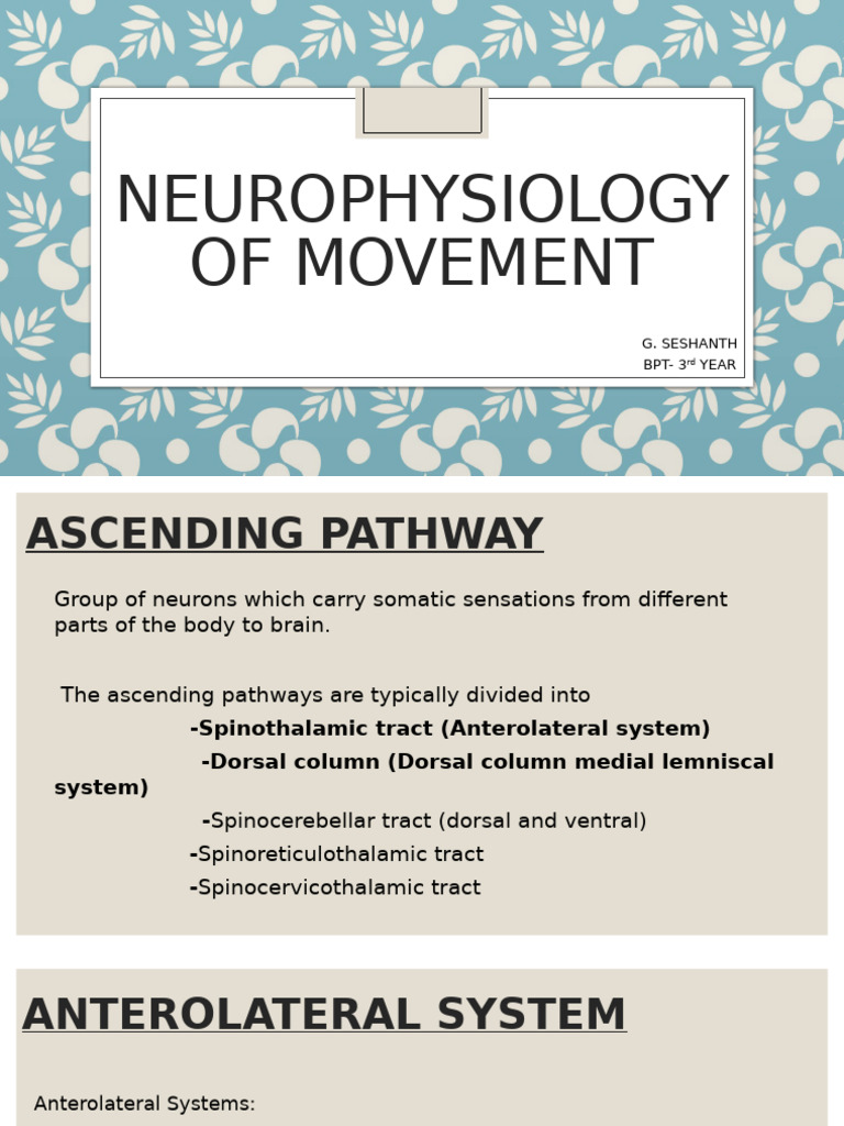 Neurophysiology of Movement Pathways | PDF