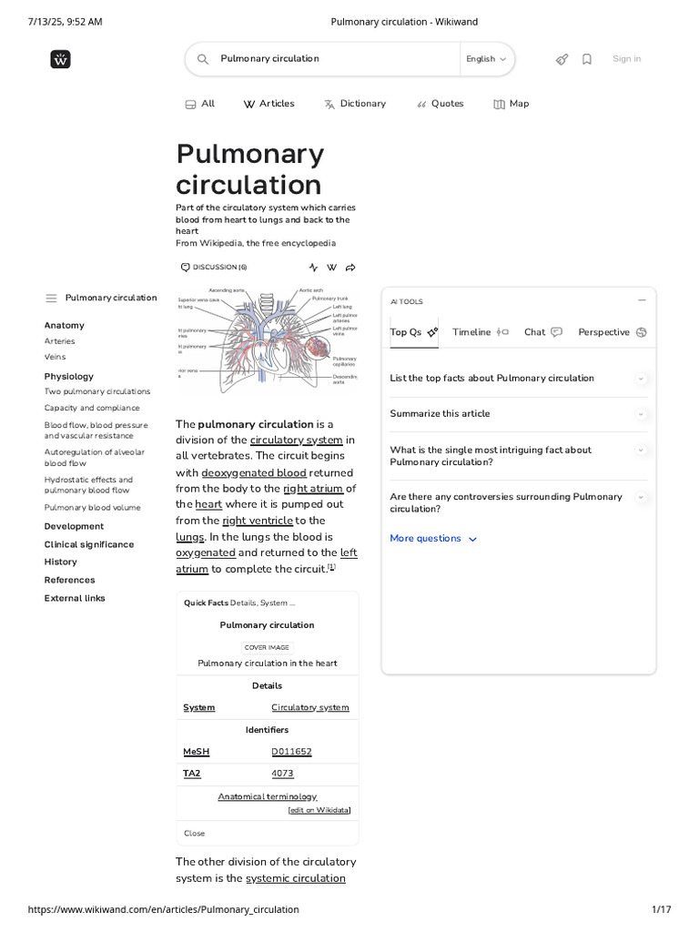 Pulmonary Circulation - Wikiwand | PDF | Circulatory System | Artery