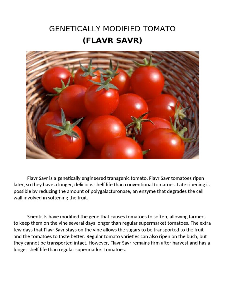 Flavr Savr Tomato: Enhanced Shelf Life | PDF