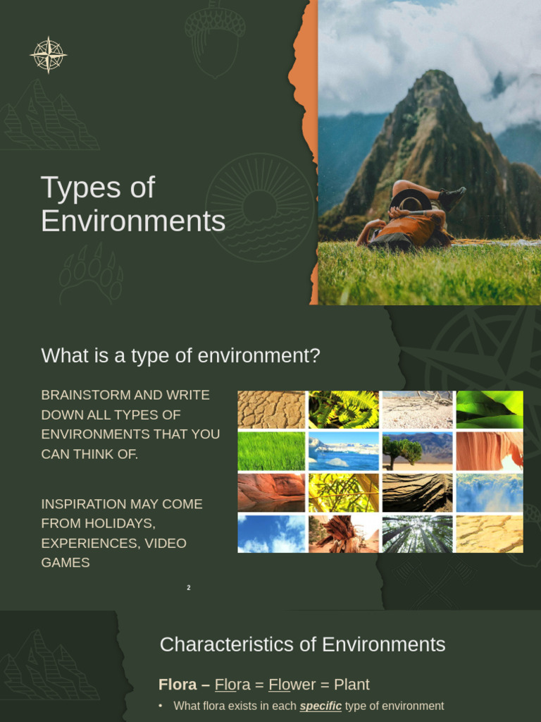 Types of Environments in Australia | PDF | Trees | Earth Sciences
