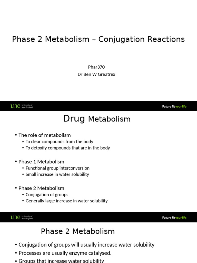 Phase 2 Metabolism: Conjugation Reactions | PDF | Drug Metabolism ...