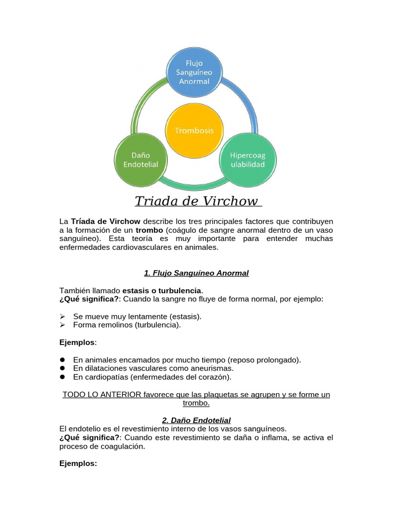 Triada de Virchow Breve Explicacion | PDF