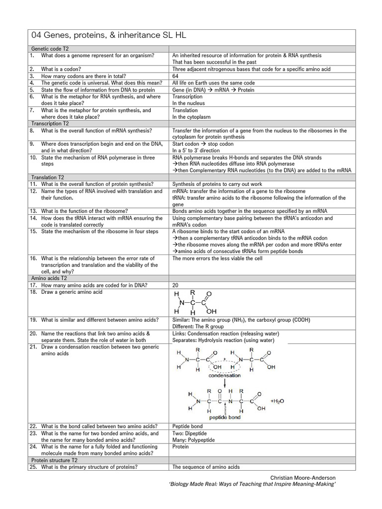 Understanding Genes and Protein Synthesis | PDF | Translation (Biology ...