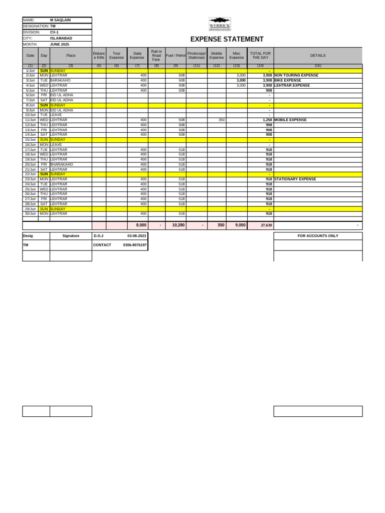 June 2025 Expense Statement Summary | PDF