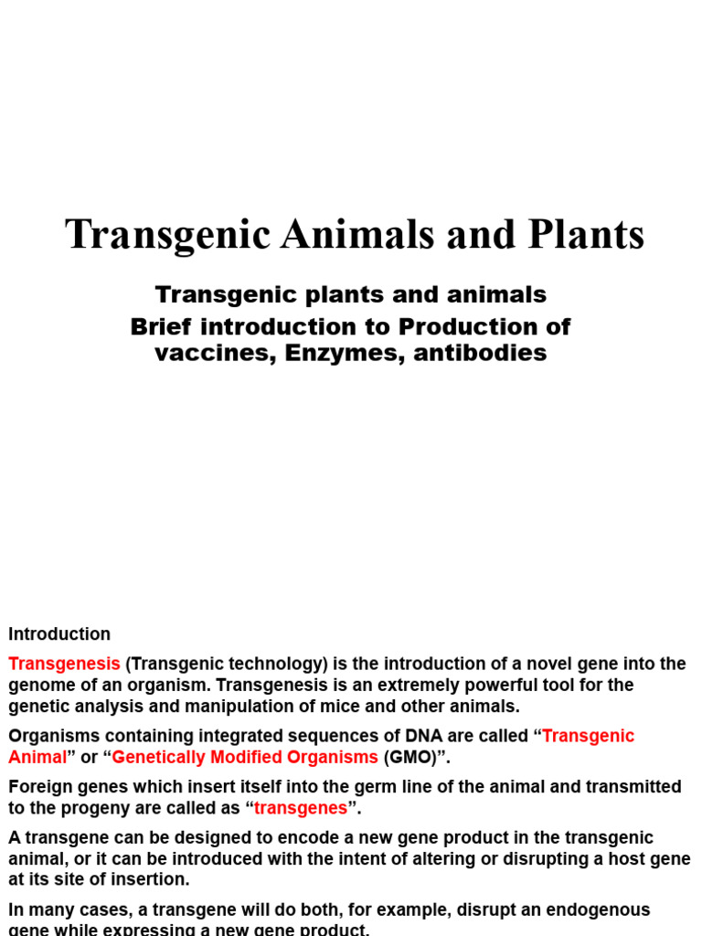 Transgenic Animals in Pharmaceutical Production | PDF | Transgene ...