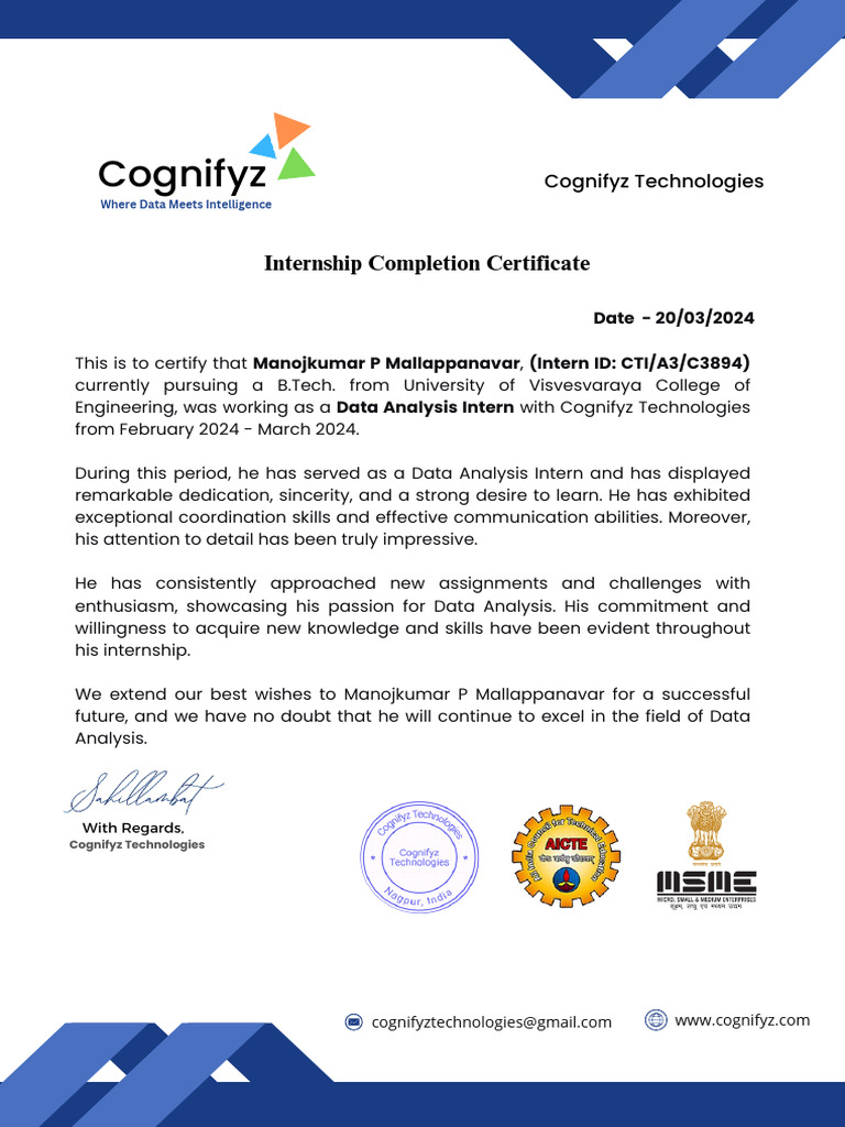 Summer Internship | PDF